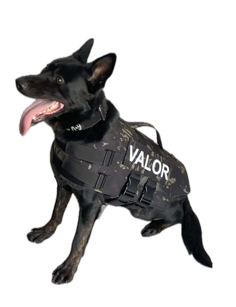 K9 Warrior tactical vest - Blueridge Armor